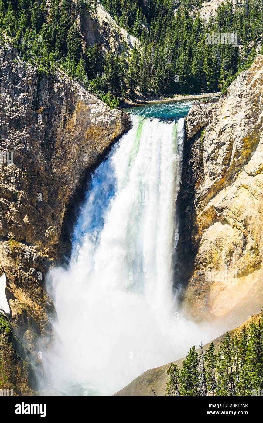 Yellowstones lower river falls hi-res stock photography and images - Alamy