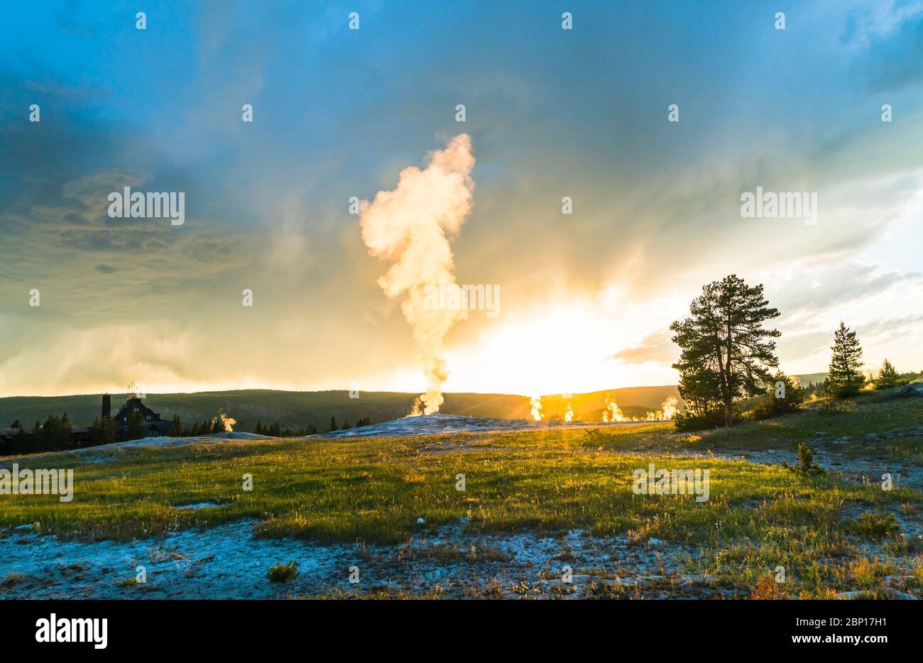 Old faithful on the sunset,summer, in Yellowstone National park,usa ...