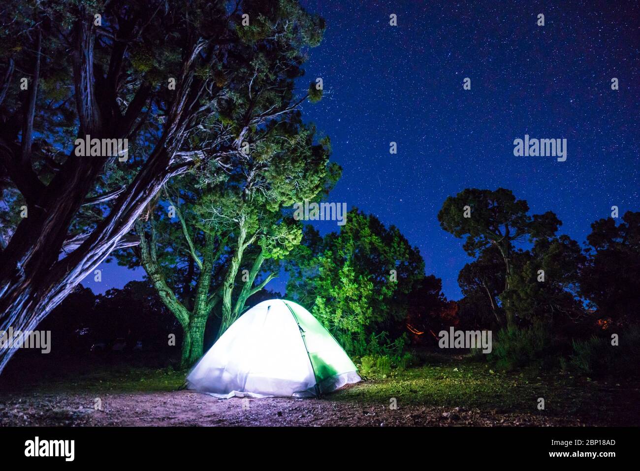 camping in campground area at night with star on the sky in national ...