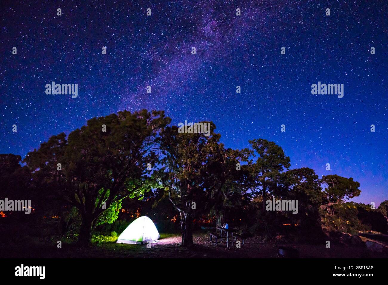 camping in campground area at night with star on the sky in national ...