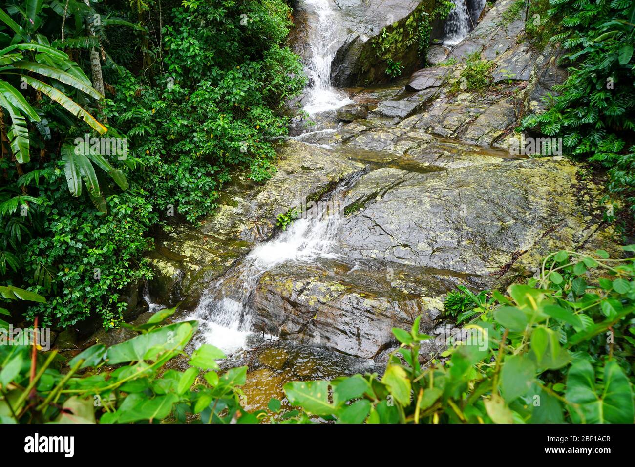 Brazil waterfall flower hi-res stock photography and images - Alamy