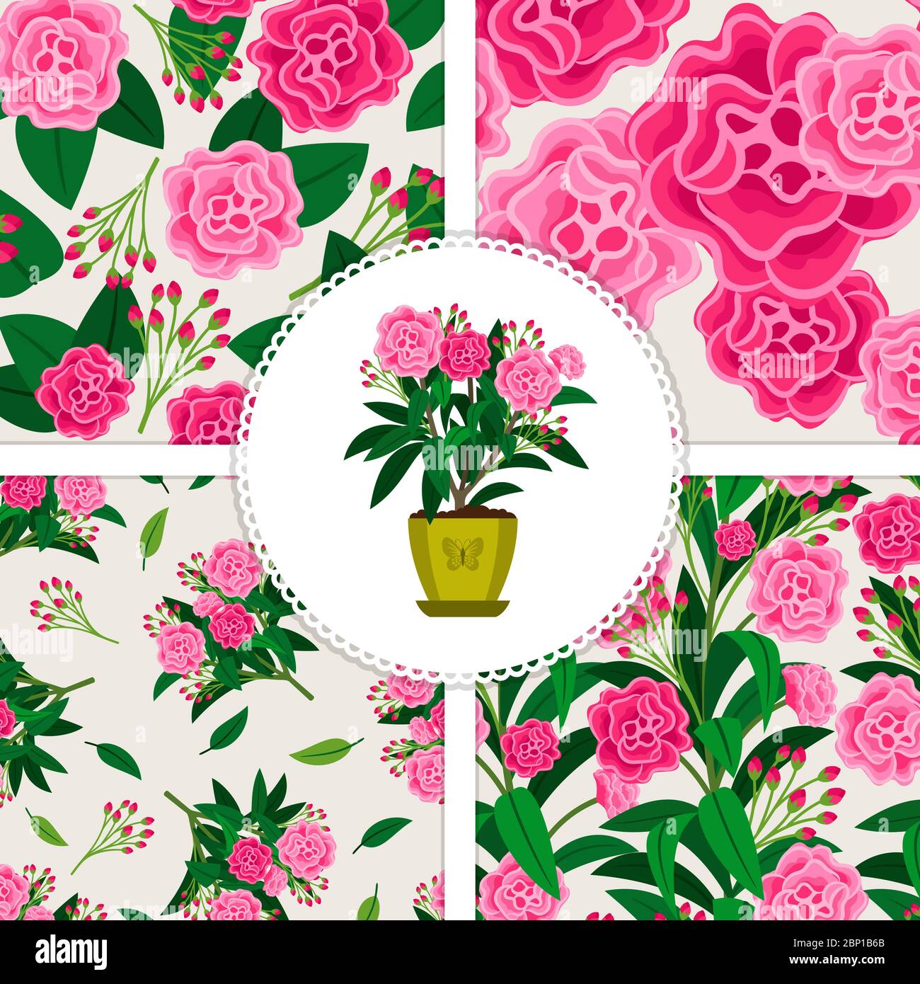 Pink flower in pot and four floral patterns set. Vector illustration ...