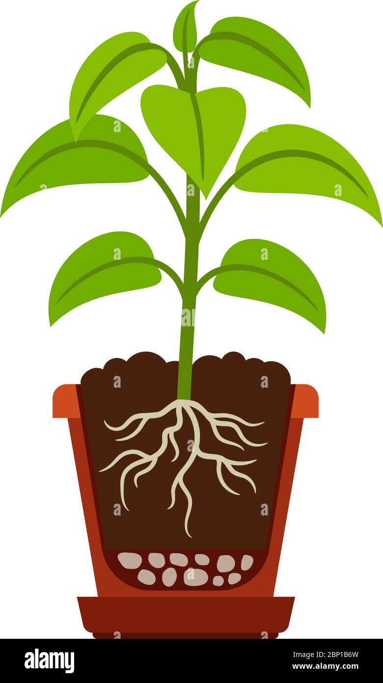 Flower With Roots Clipart