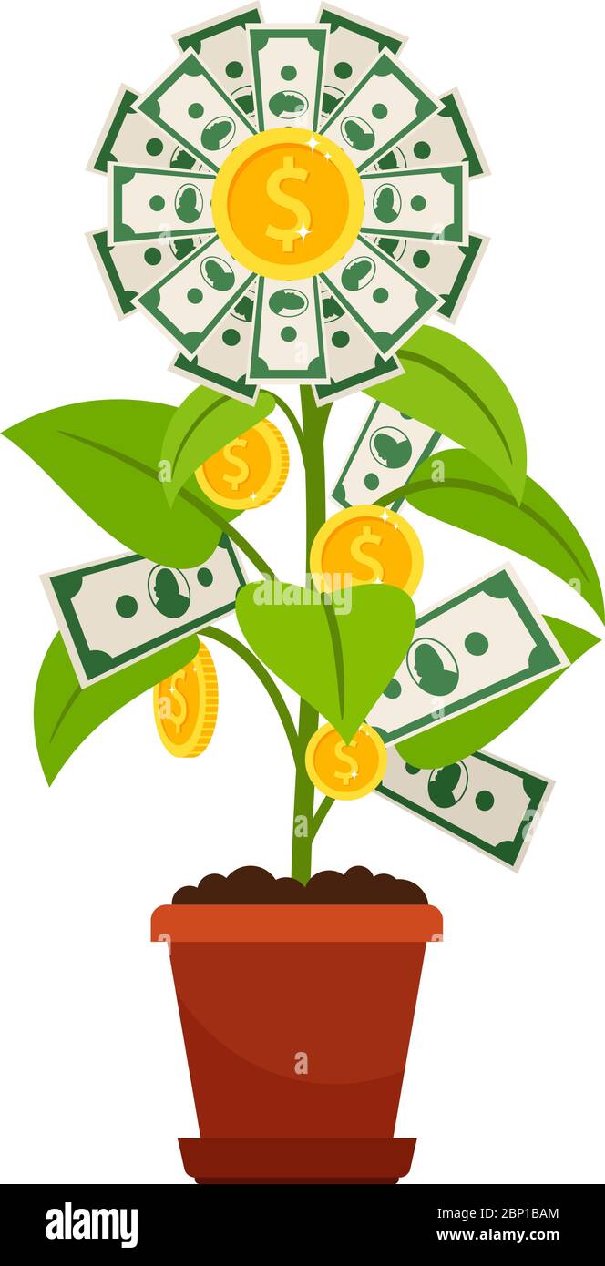 Flower money isolated on white background. Investment finance growth ...