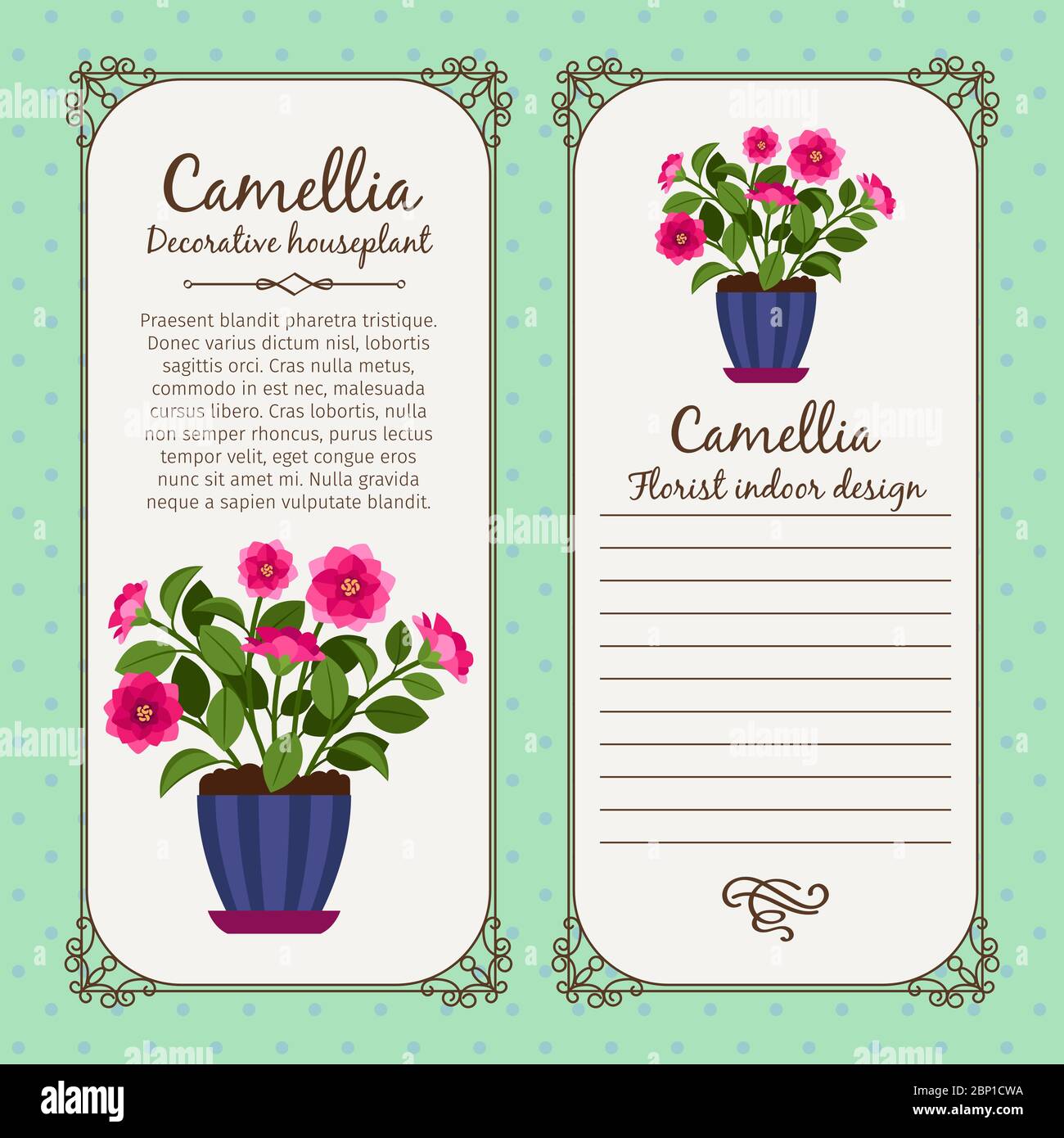 Vintage label template with potted flower camellia, vector illustration ...