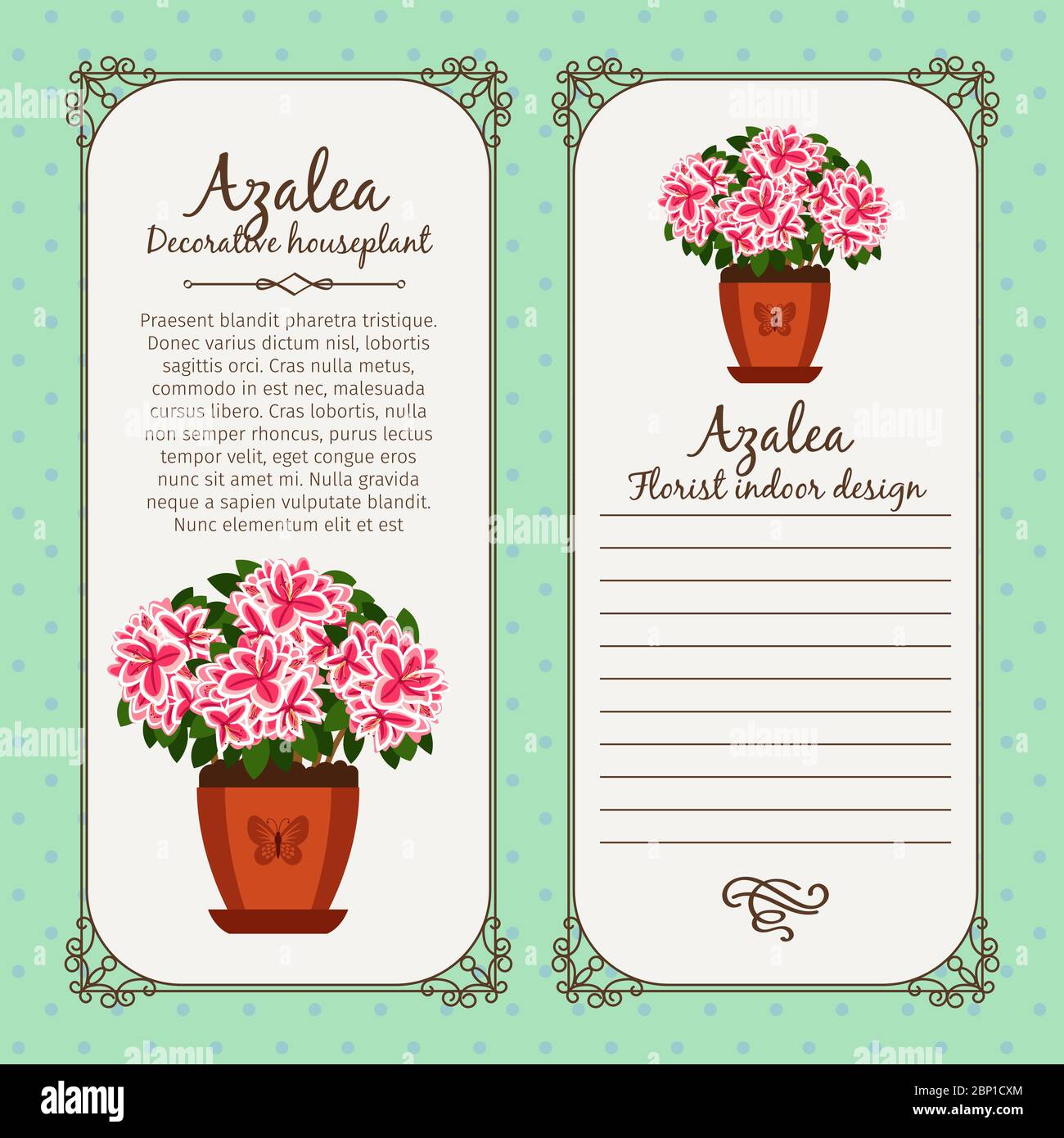 Azalea botanical illustration hi-res stock photography and images - Alamy