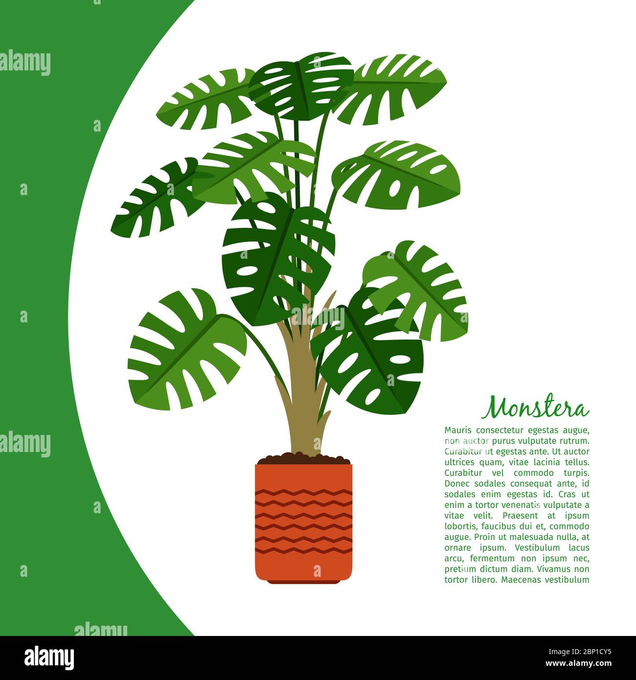 Monstera indoor plant in pot banner template, vector illustration Stock ...