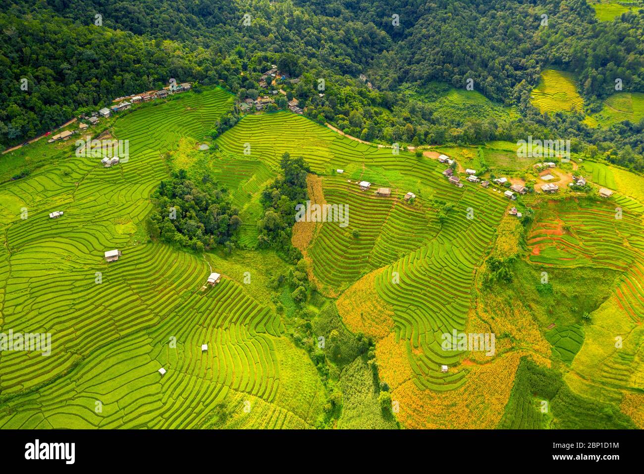 Cinematic rice fields hi-res stock photography and images - Alamy