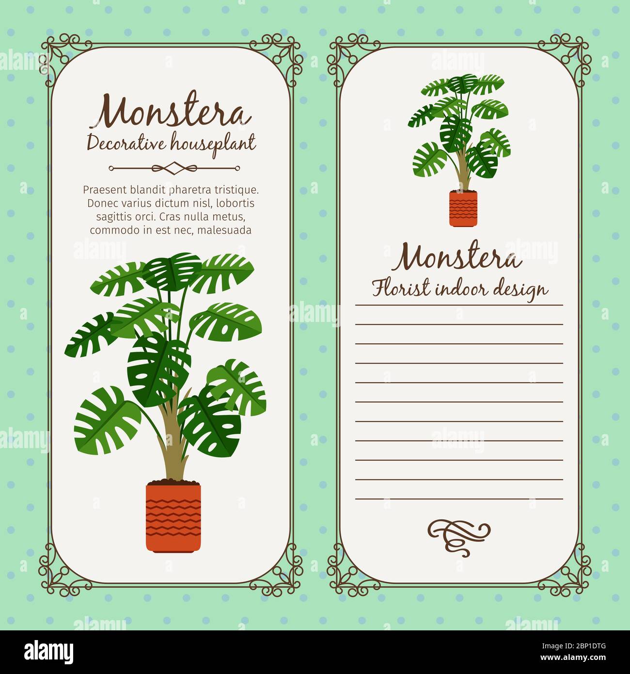 Vintage label template with decorative monstera plant in pot, vector ...