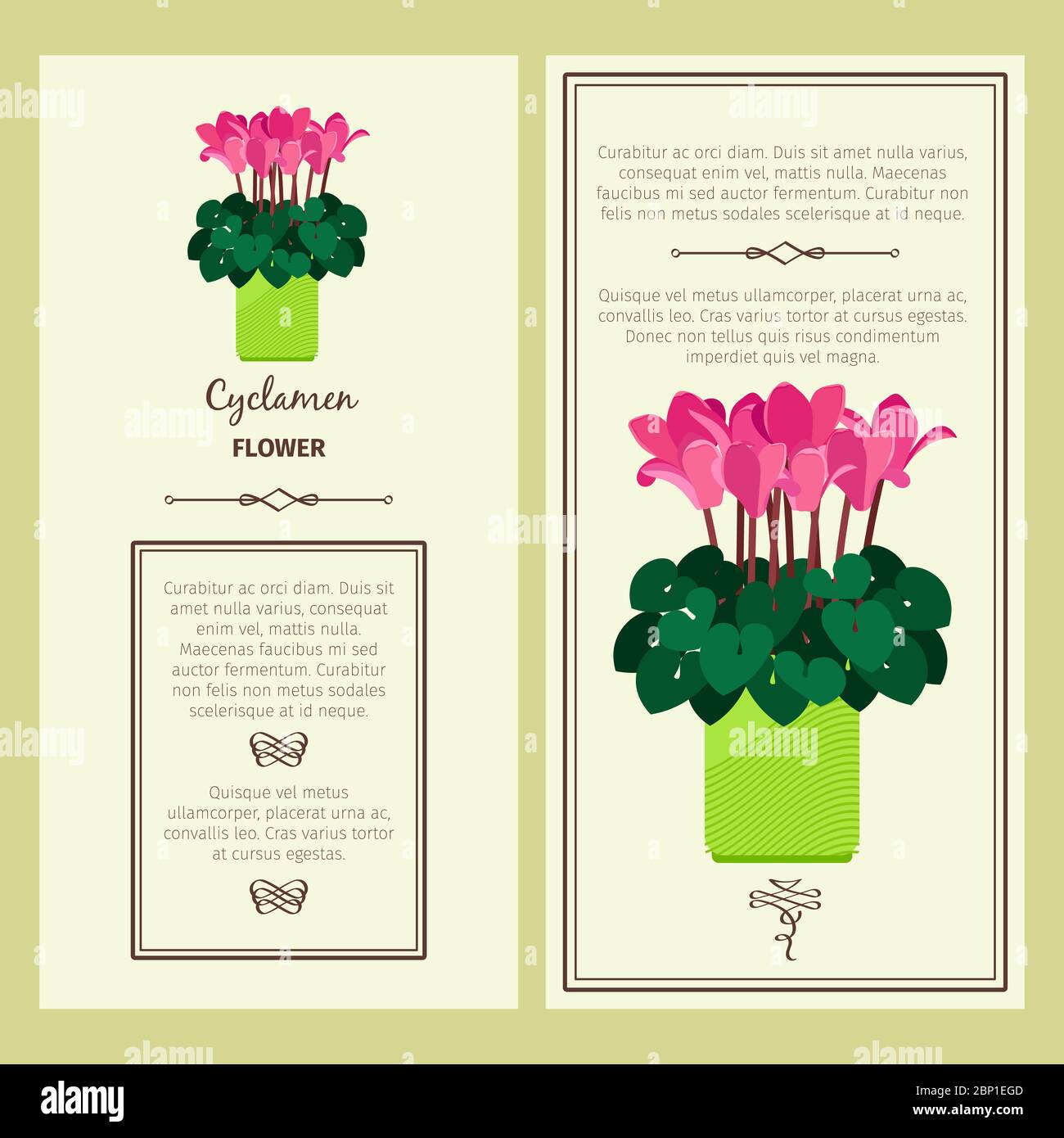 Cyclamen flower in pot vector advertising banners for shop design Stock ...