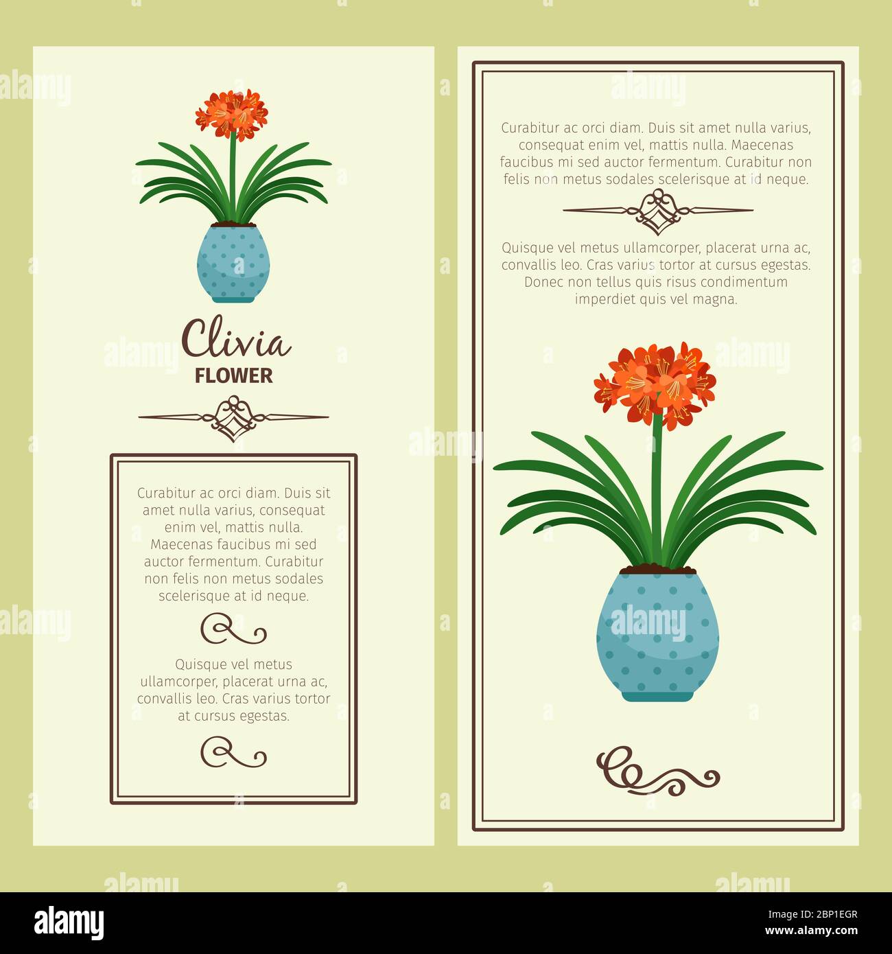 Clivia flower in pot vector advertising banners for shop design Stock ...