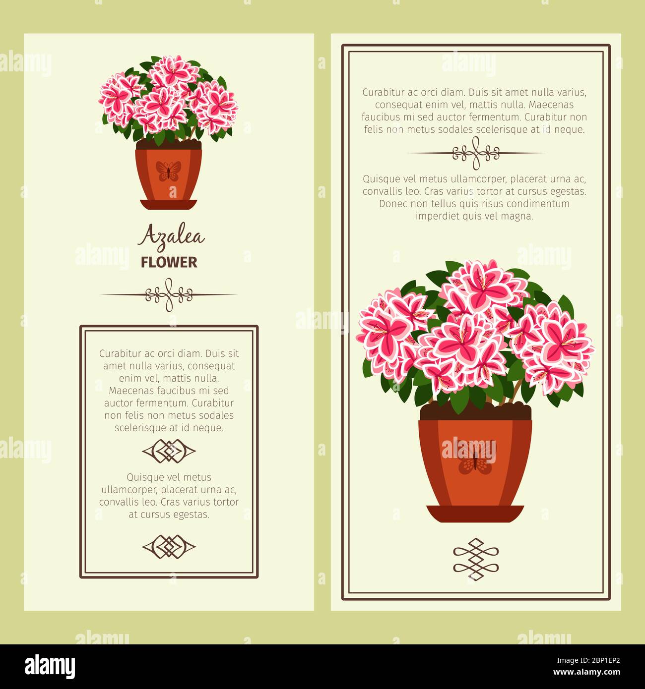 Azalea flower in pot vector advertising banners for shop design Stock ...