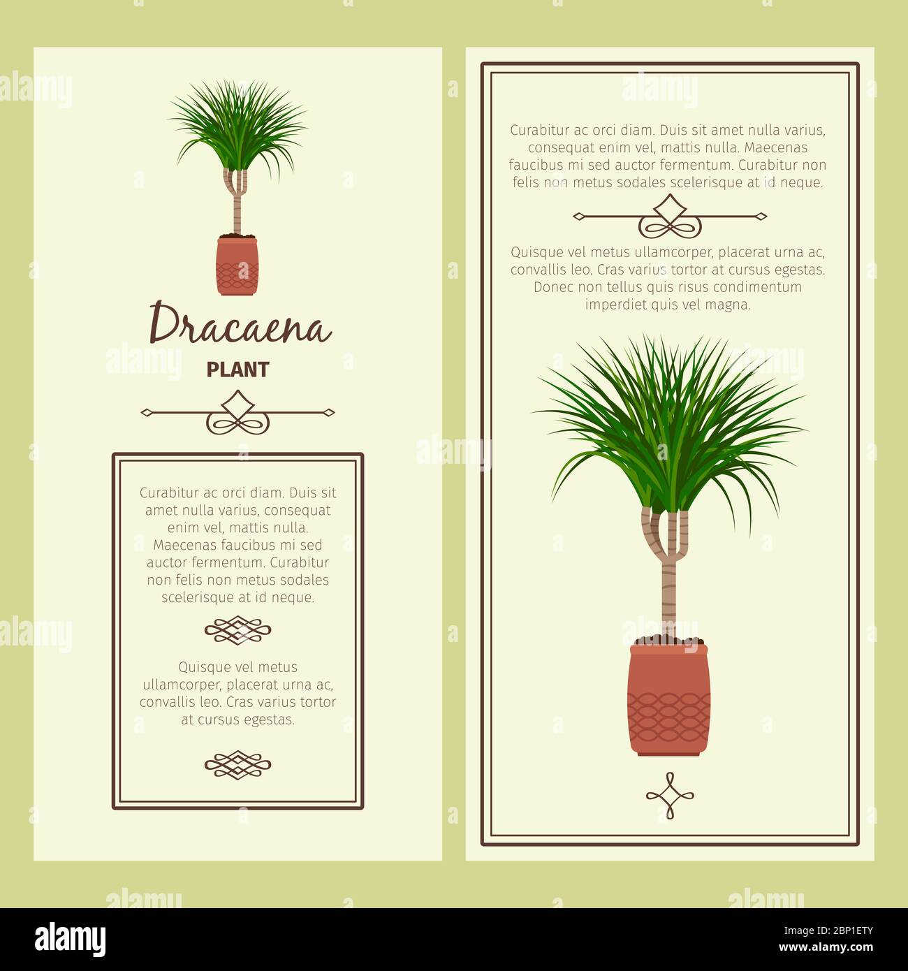 Pebble house plant Stock Vector Images - Alamy