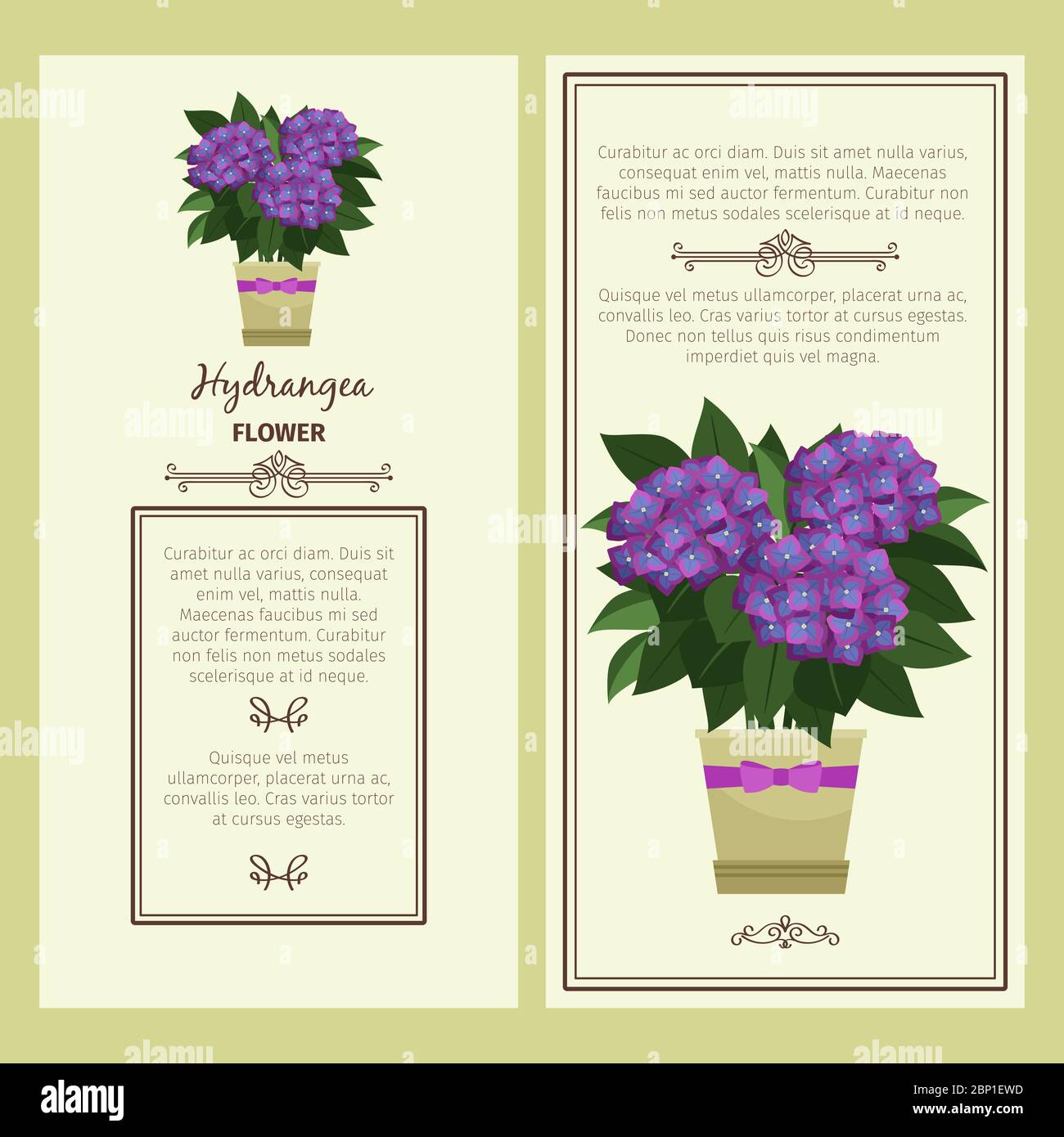 Hydrangea flower in pot vector advertising banners for shop design ...