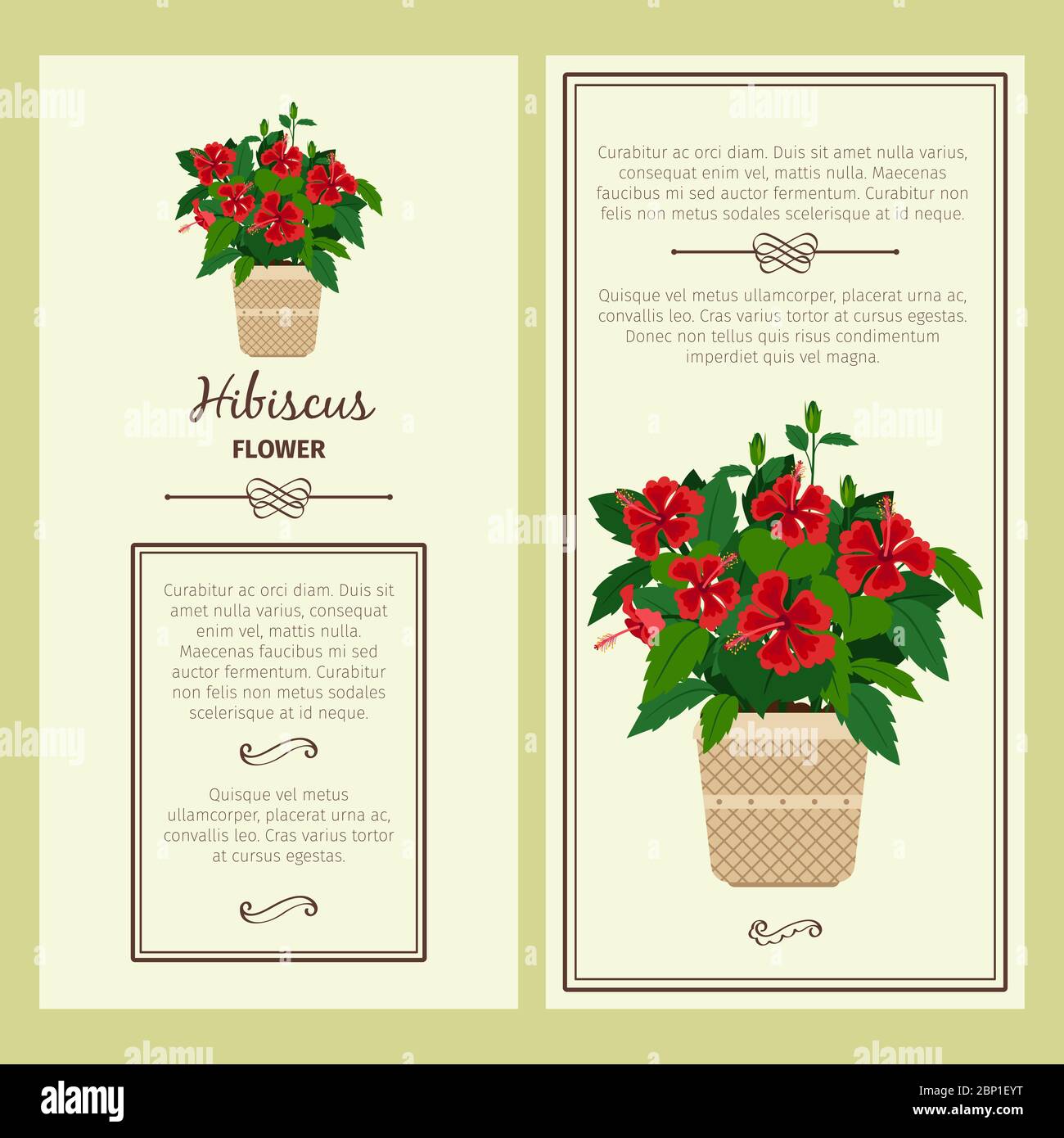 Hibiscus flower in pot vector advertising banners for shop design Stock ...