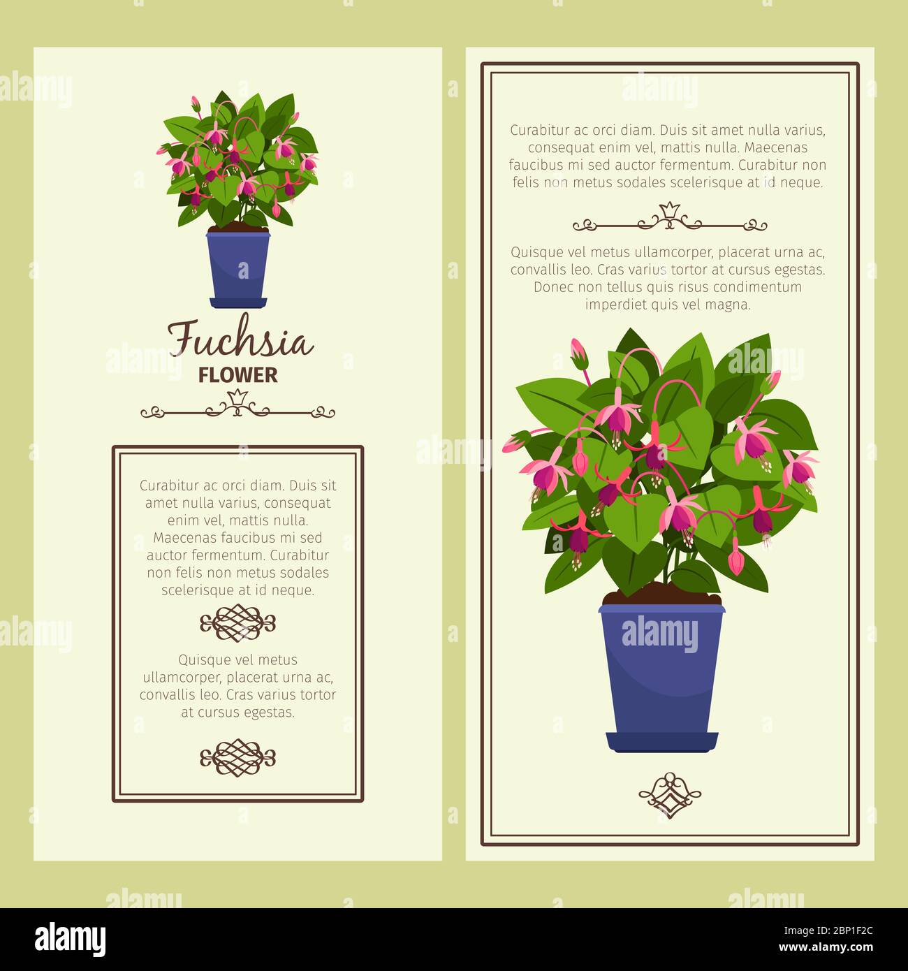 Fuchsia flower in pot vector advertising banners for shop design Stock ...