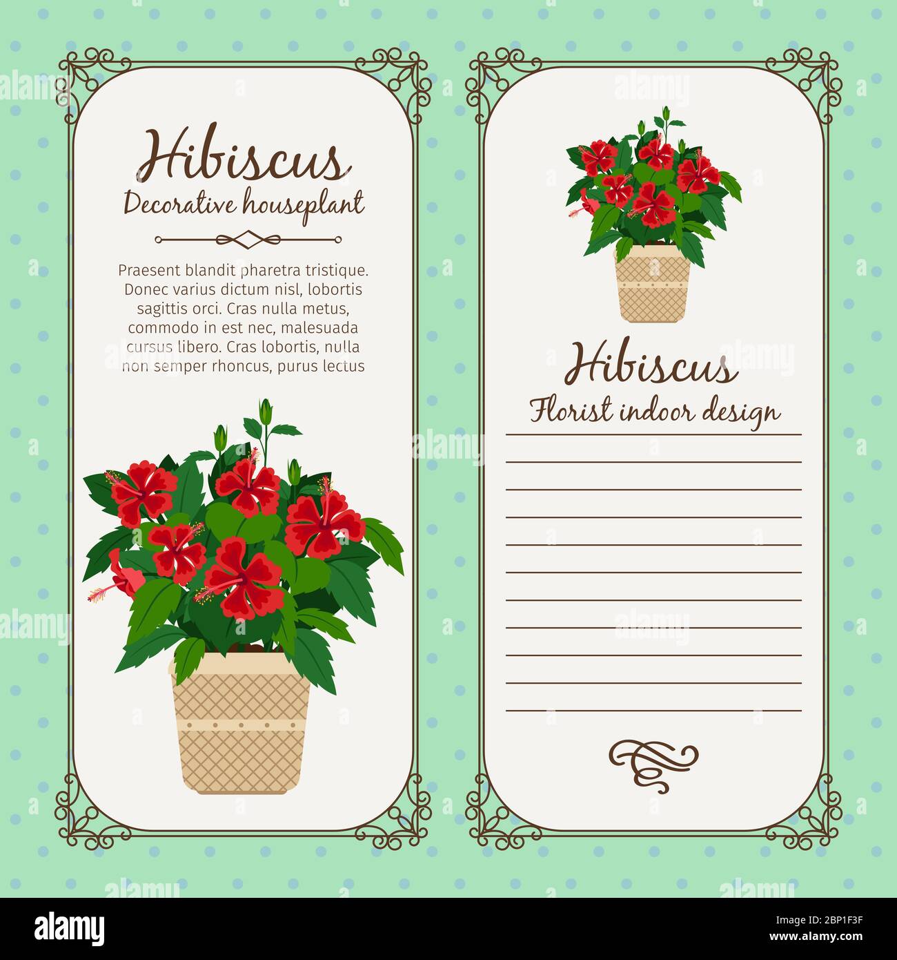 Vintage label template with decorative hibiscus plant in pot, vector ...
