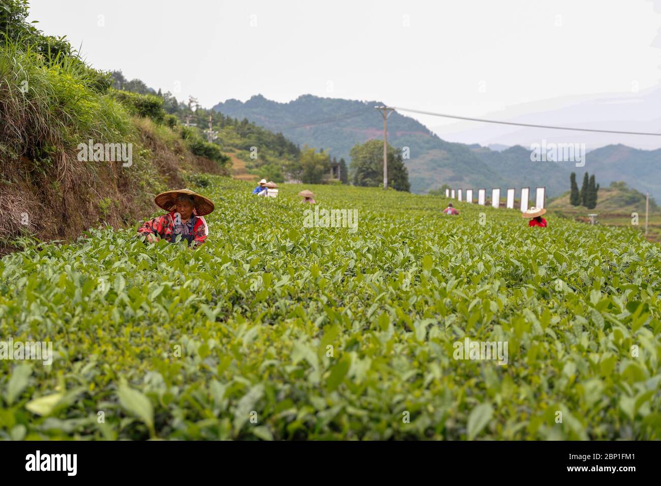 Xinyuan village hi-res stock photography and images - Alamy