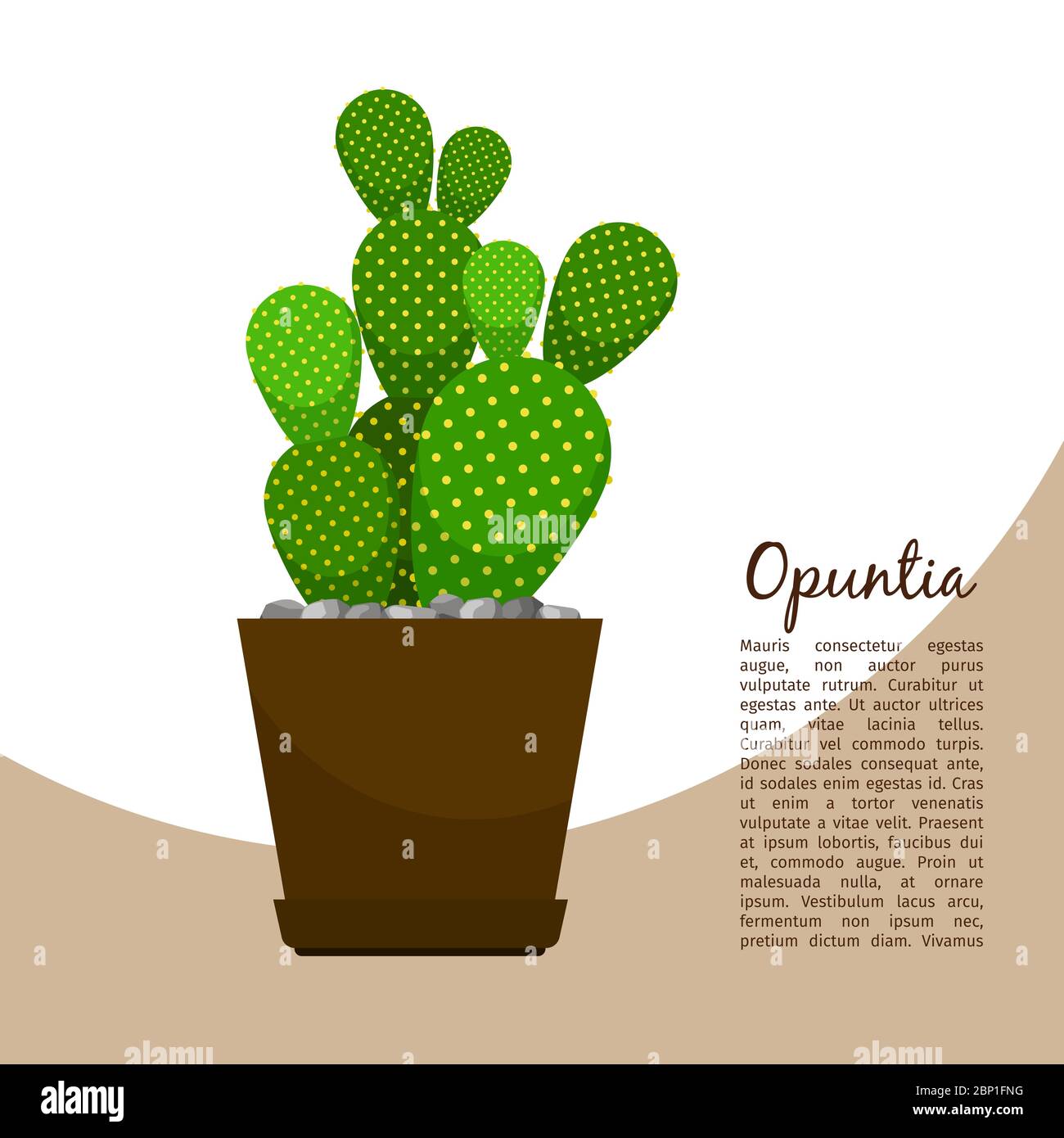 Opuntia indoor plant in pot banner template, vector illustration Stock ...