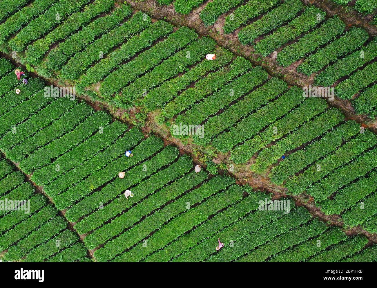 Xinyuan village hi-res stock photography and images - Alamy