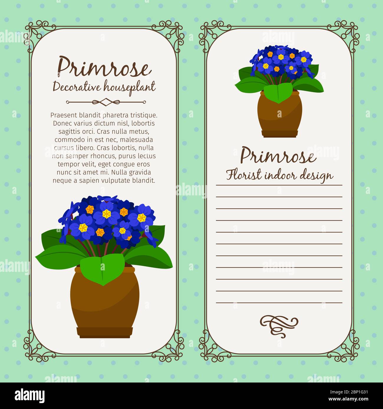 Vintage label template with decorative primrose plant in pot, vector ...