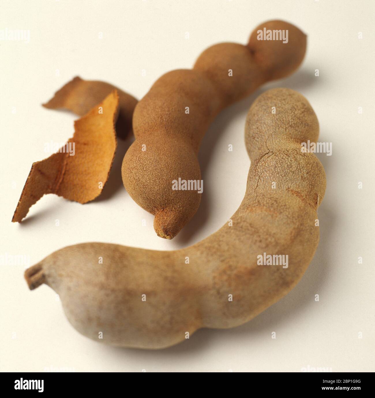 Tamarind pods, Tamarindus indica, on white Stock Photo - Alamy