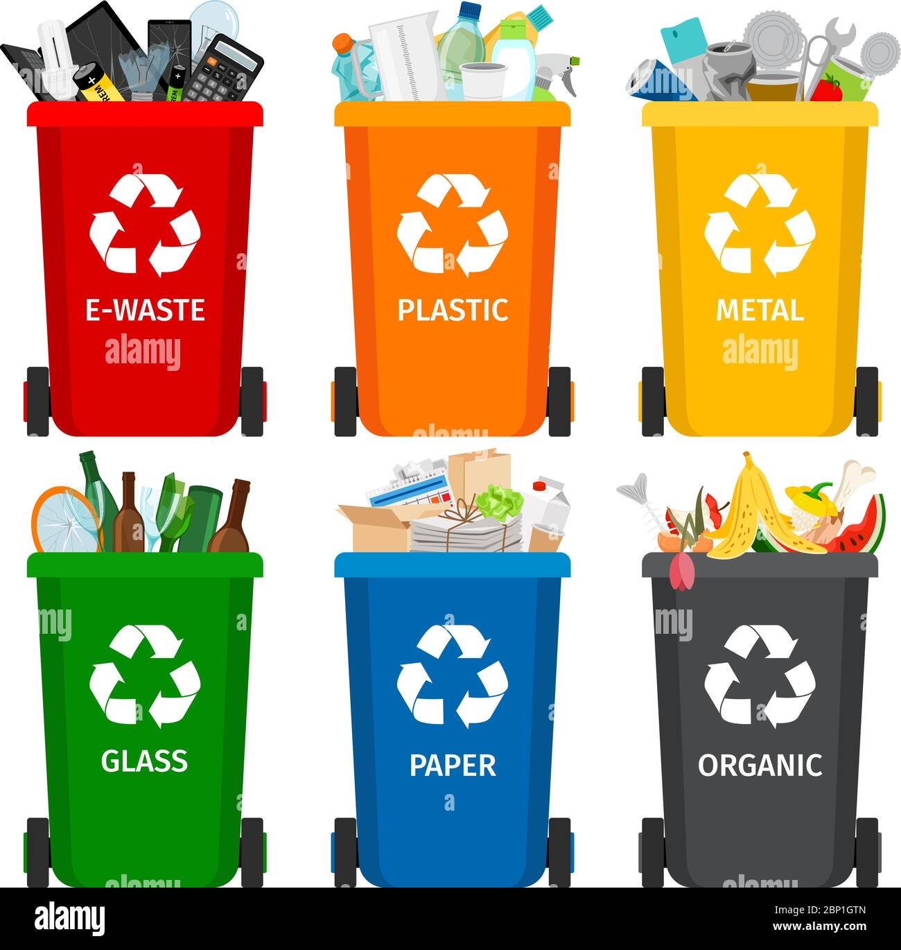 Trash In Garbage Cans With Sorted Garbage Vector Icons Recycling Garbage Separation Collection