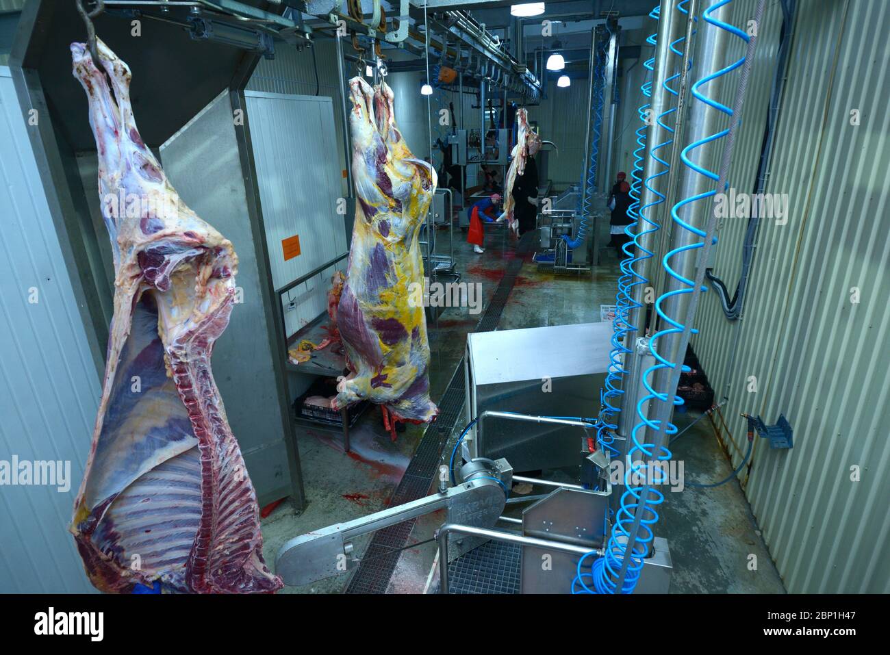 Interior of a butchers shop hi-res stock photography and images - Alamy