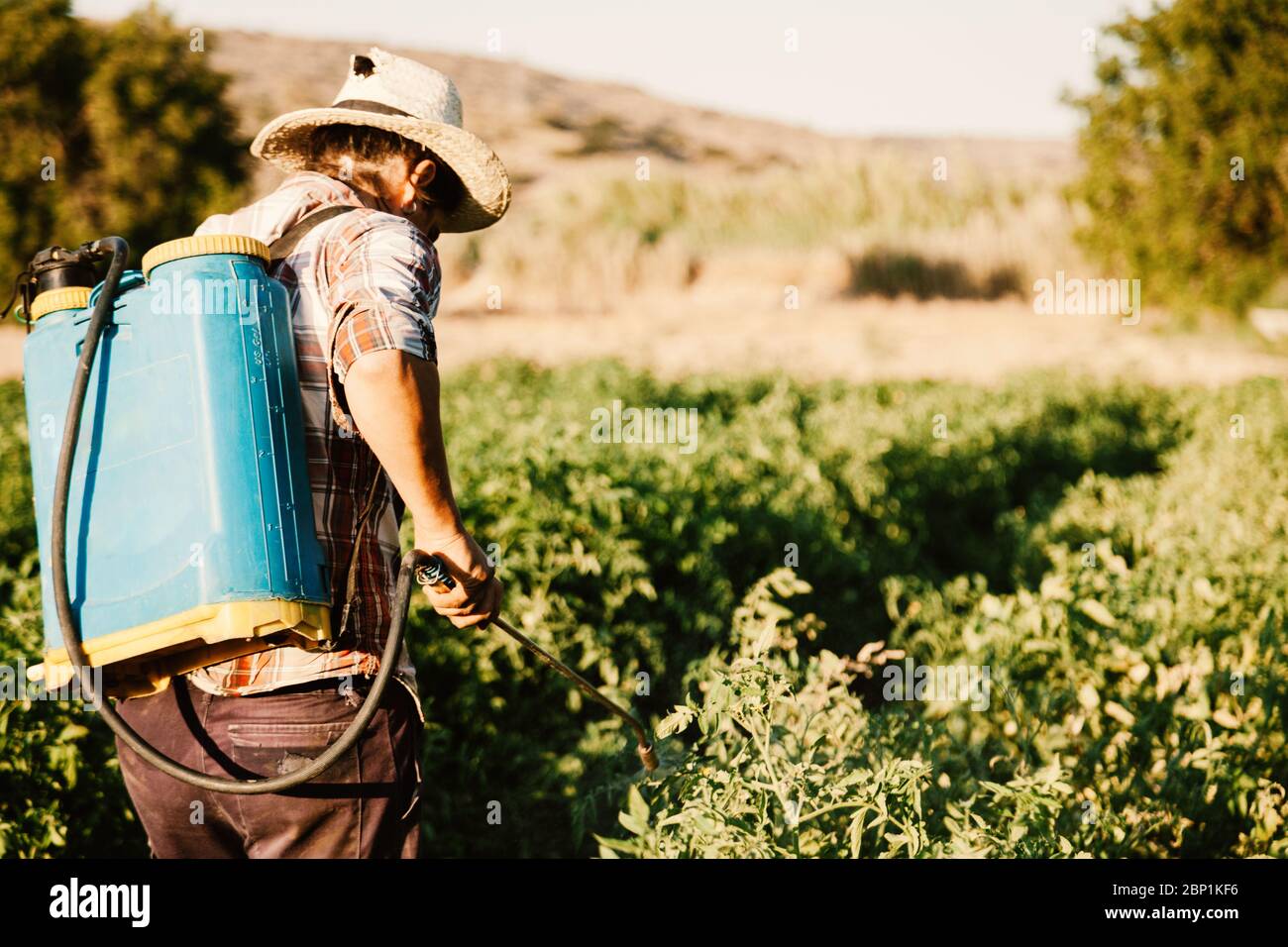 Young farmer spraying organic fertilizer with manual pump tank Stock ...