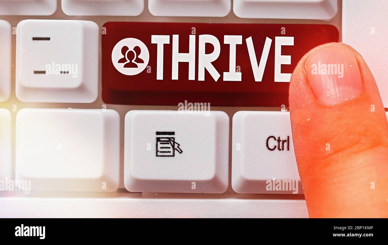 Text sign showing Thrive. Business photo showcasing Think positively ...