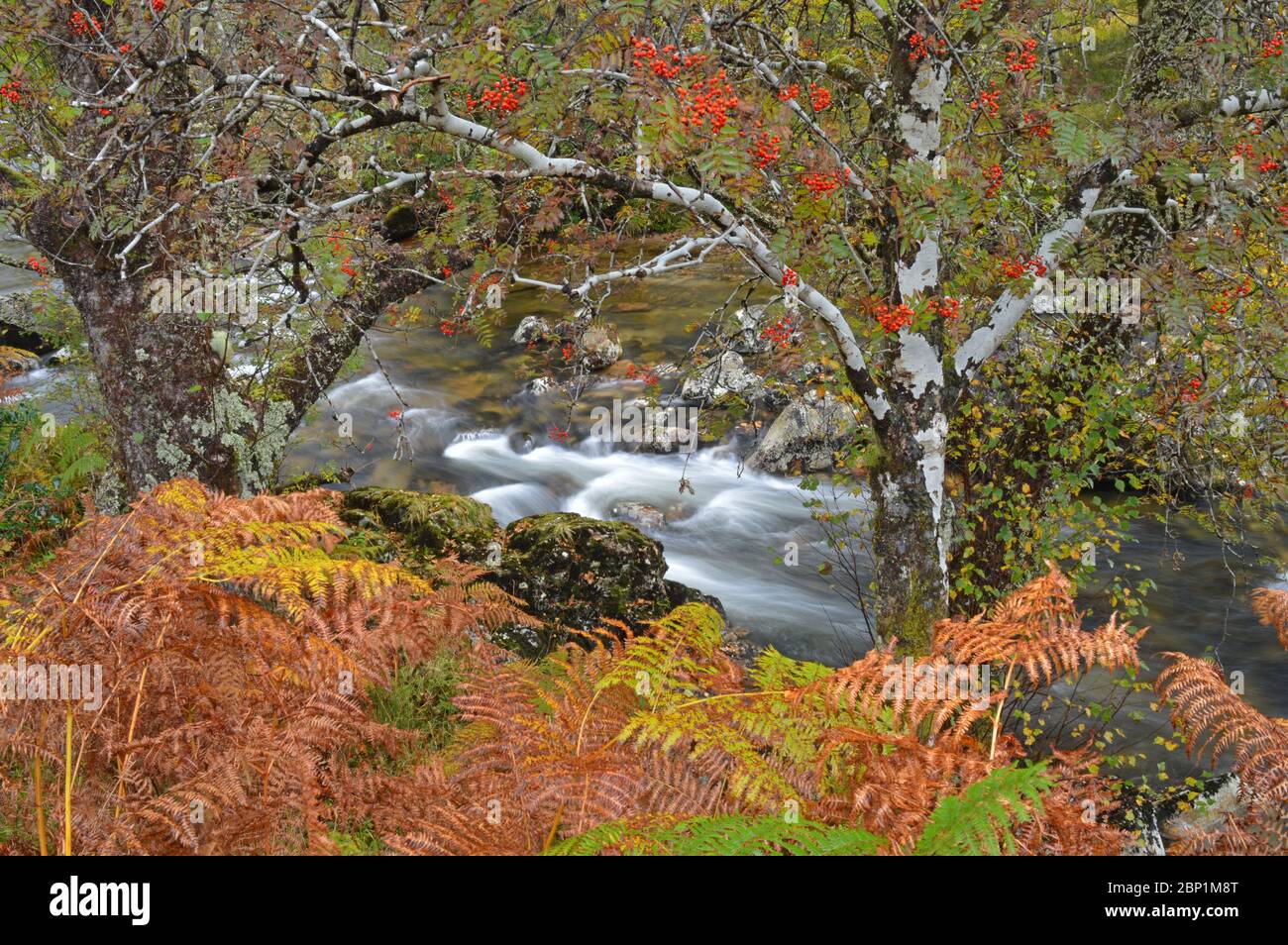 River finnan hi-res stock photography and images - Alamy