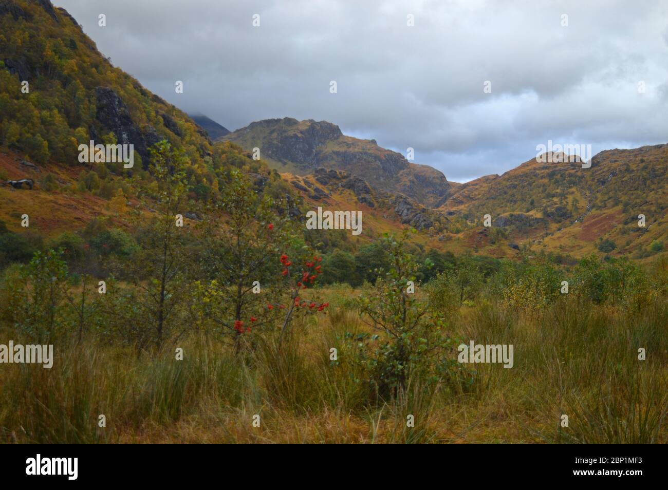 Glen Nevis gorge and trail to Steall Falls, Scotland Stock Photo - Alamy