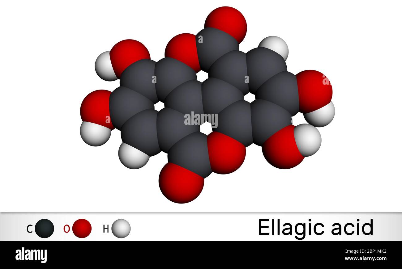 Ellagic acid dietary supplement molecule hi-res stock photography and ...