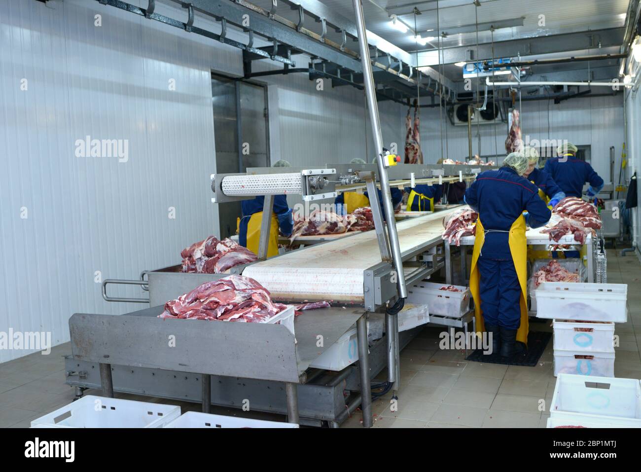 Male workers cutting pieces of meat with knives at the meat cutting ...