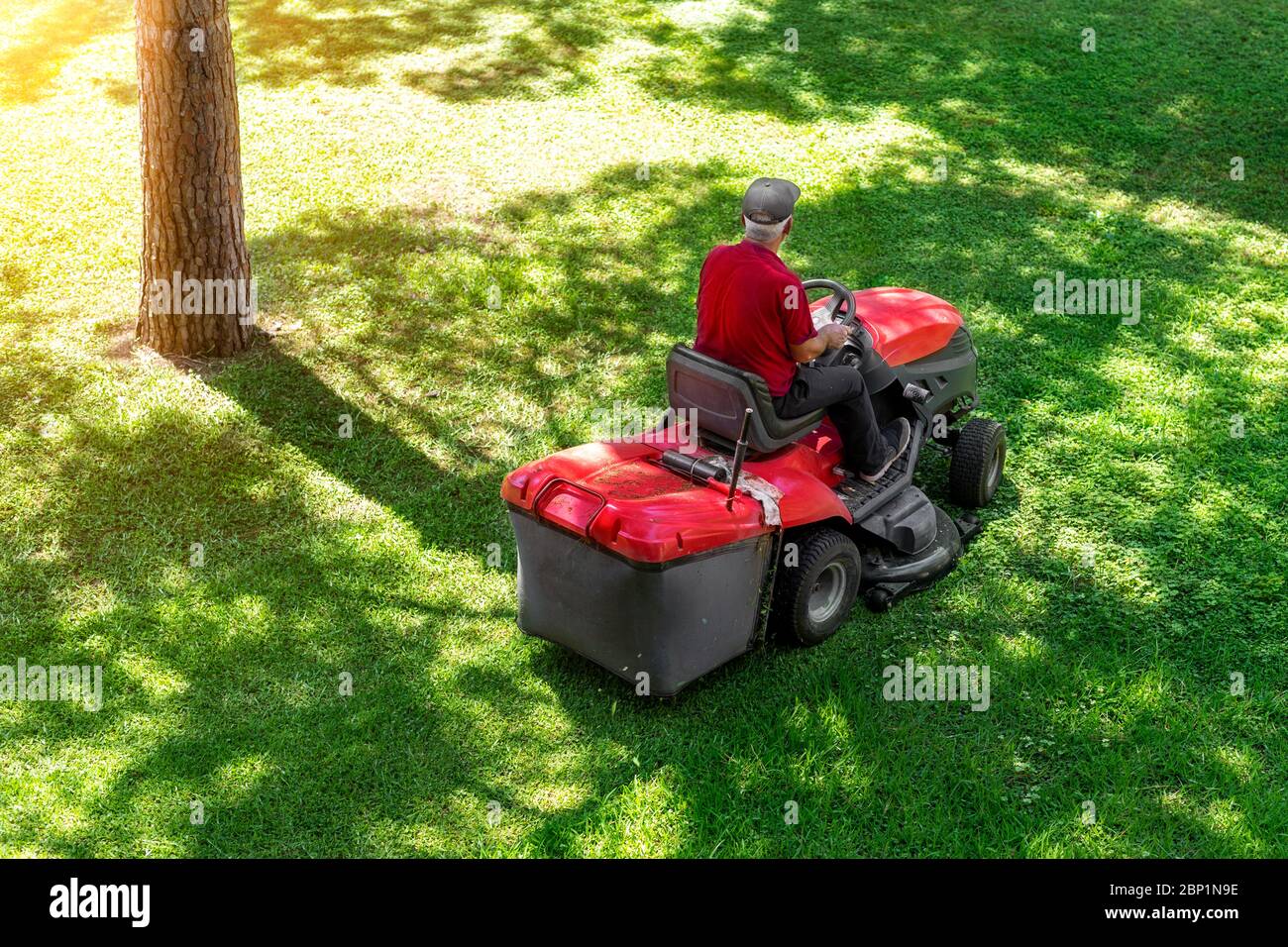 Top down above view of professional lawn mower worker cutting fresh ...