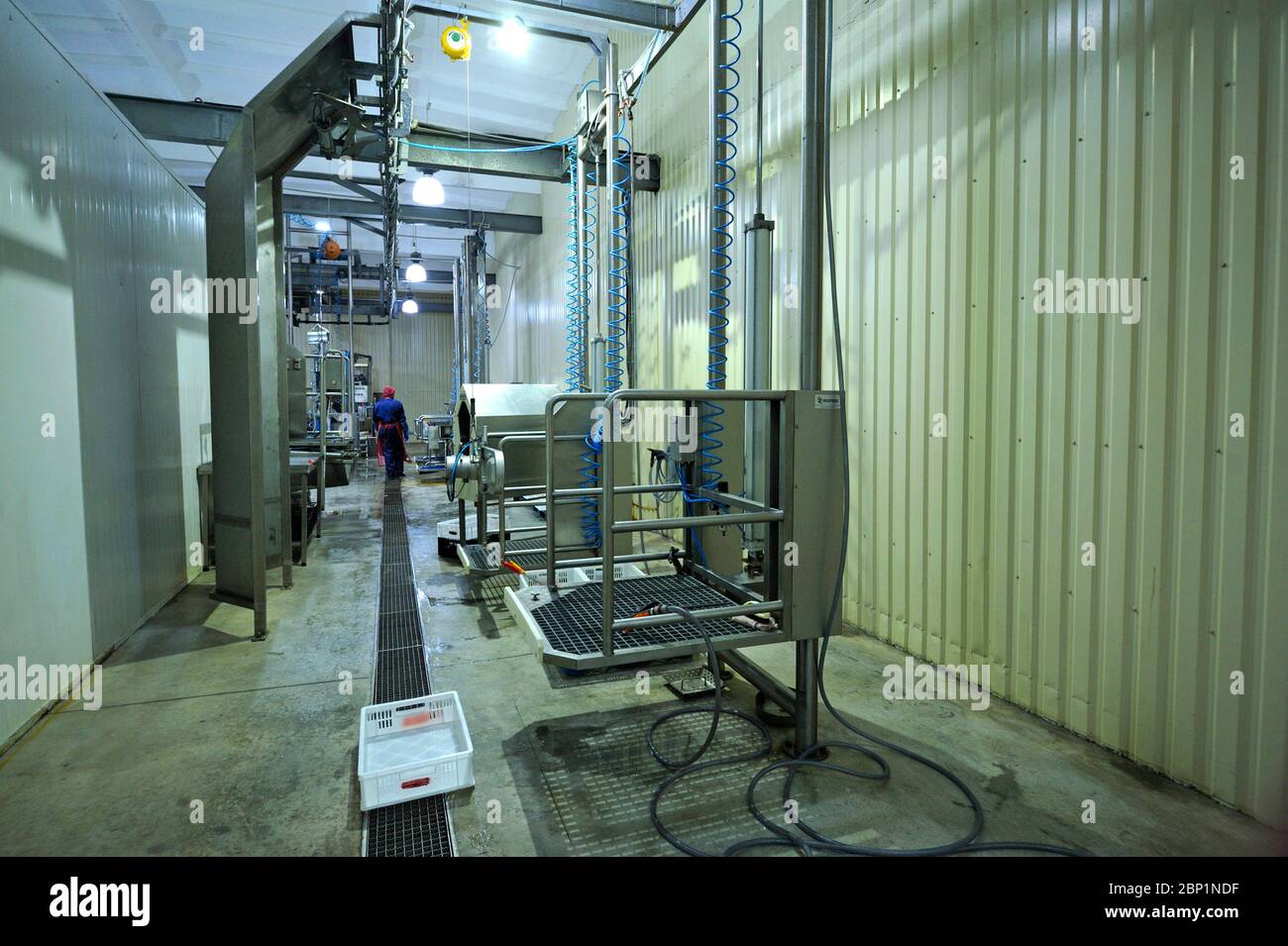 Interior slaughterhouse hi-res stock photography and images - Alamy