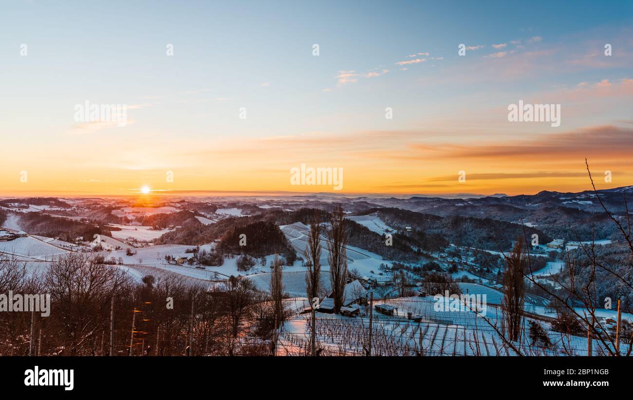 Landscape of sunrise over the the Austrian vineyards and the foggy in ...