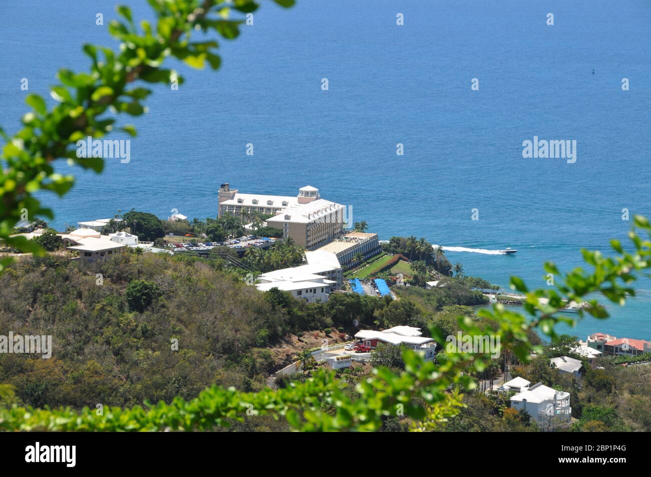 Thomas reef hi-res stock photography and images - Alamy