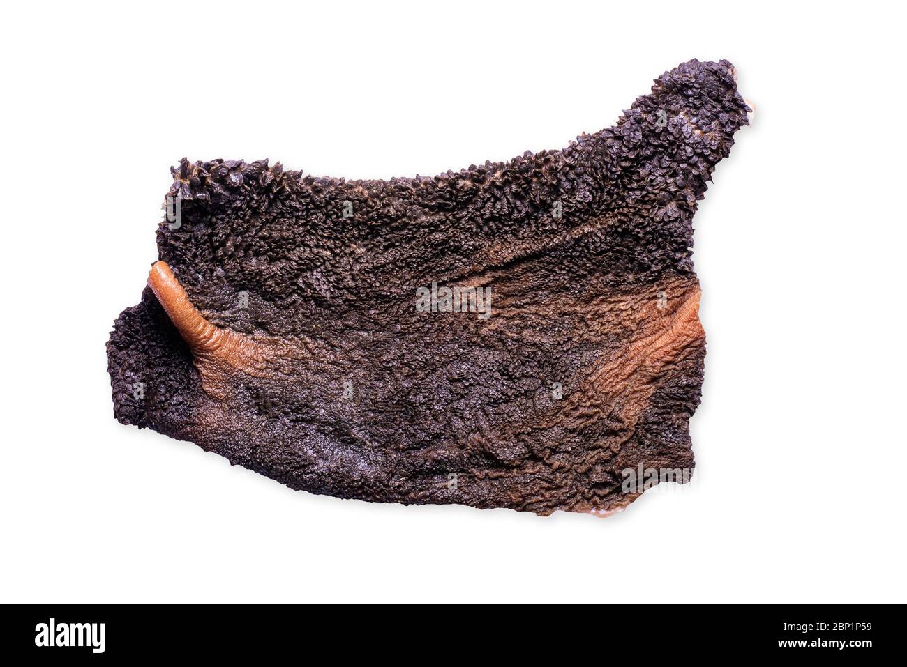 Beef shutters hi-res stock photography and images - Alamy