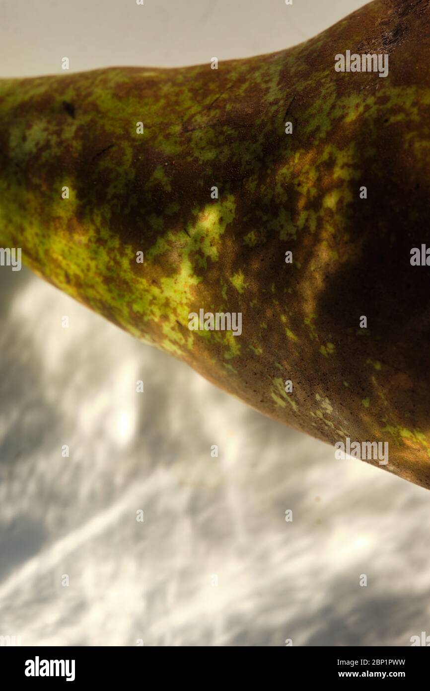 Closeup detail of fruit skin Stock Photo - Alamy
