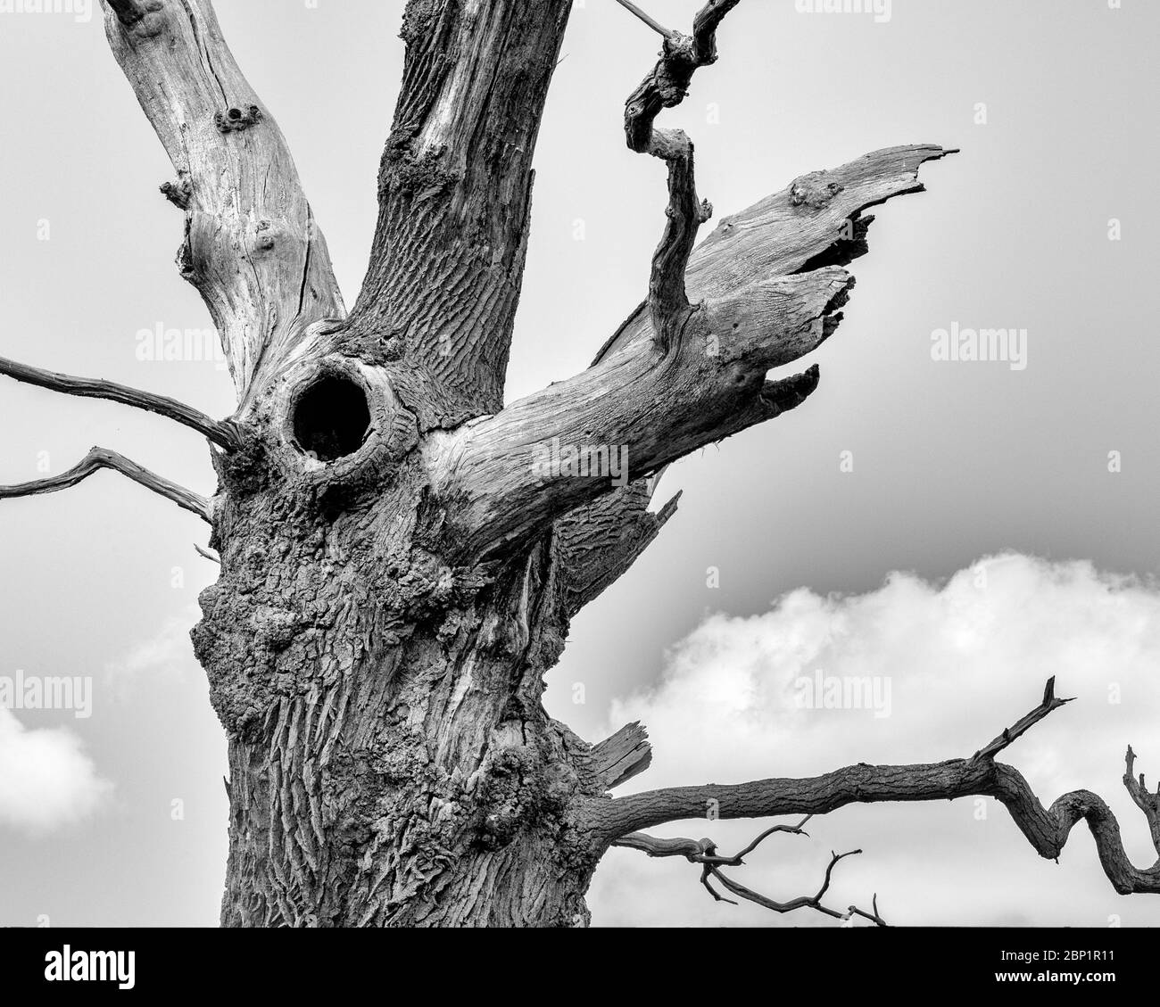 Broken but still-standing Stock Photo - Alamy