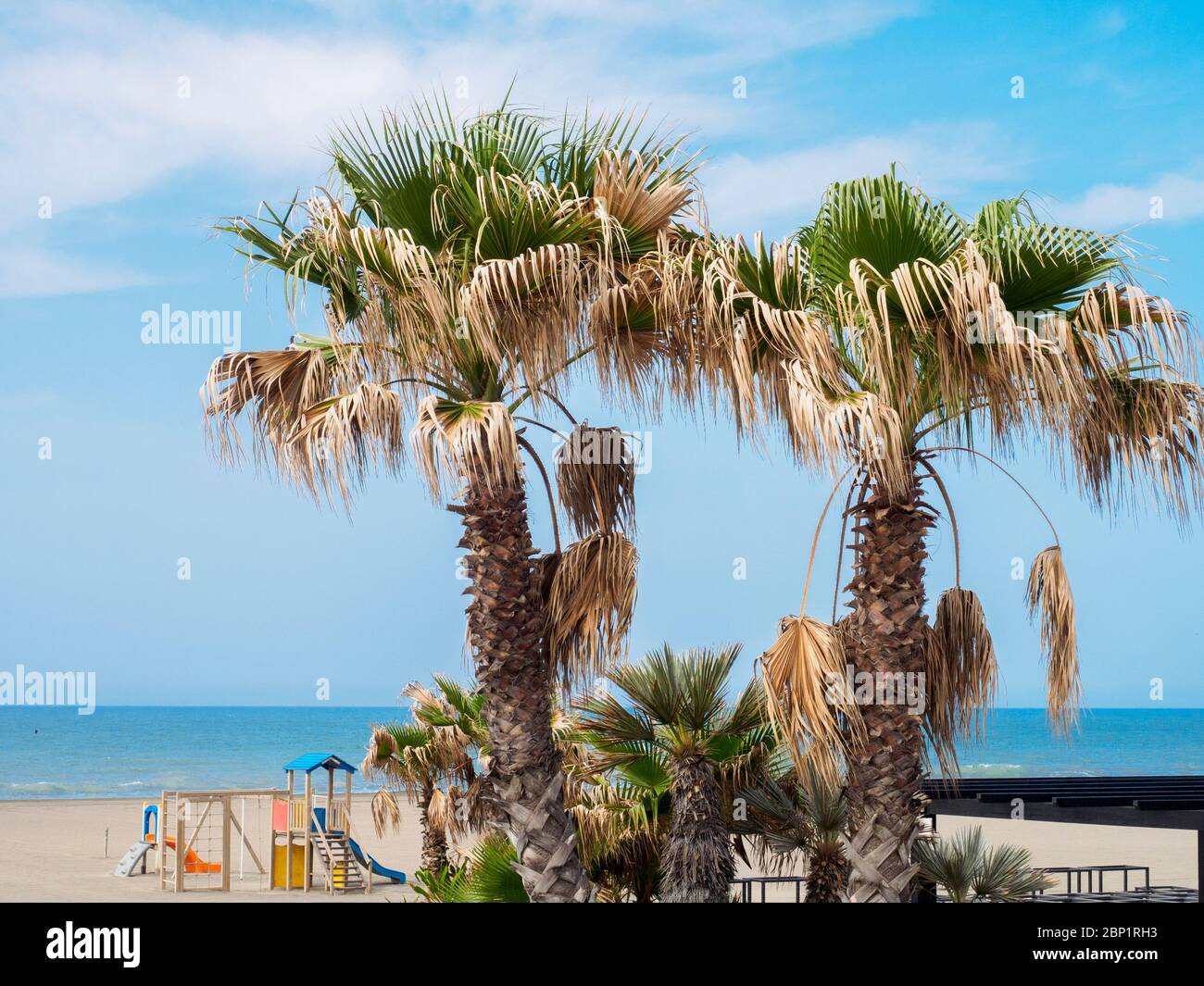 Outside exterior palm trees hi-res stock photography and images - Alamy