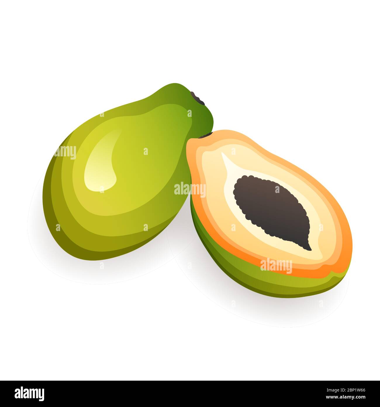 Organic tropical papaya in Stock Vector Images - Alamy