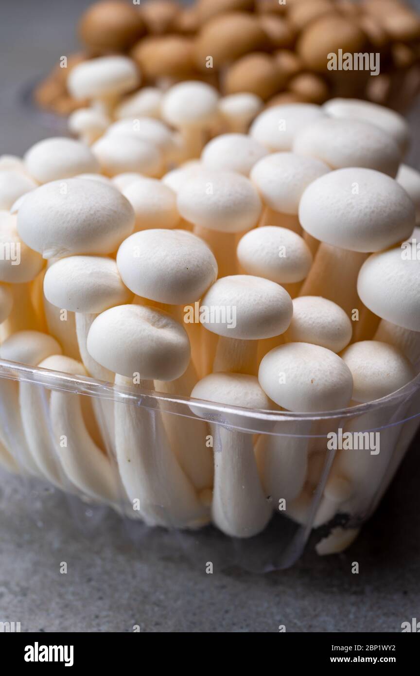 Fresh uncooked buna brown and bunapi white shimeji edible mushrooms ...
