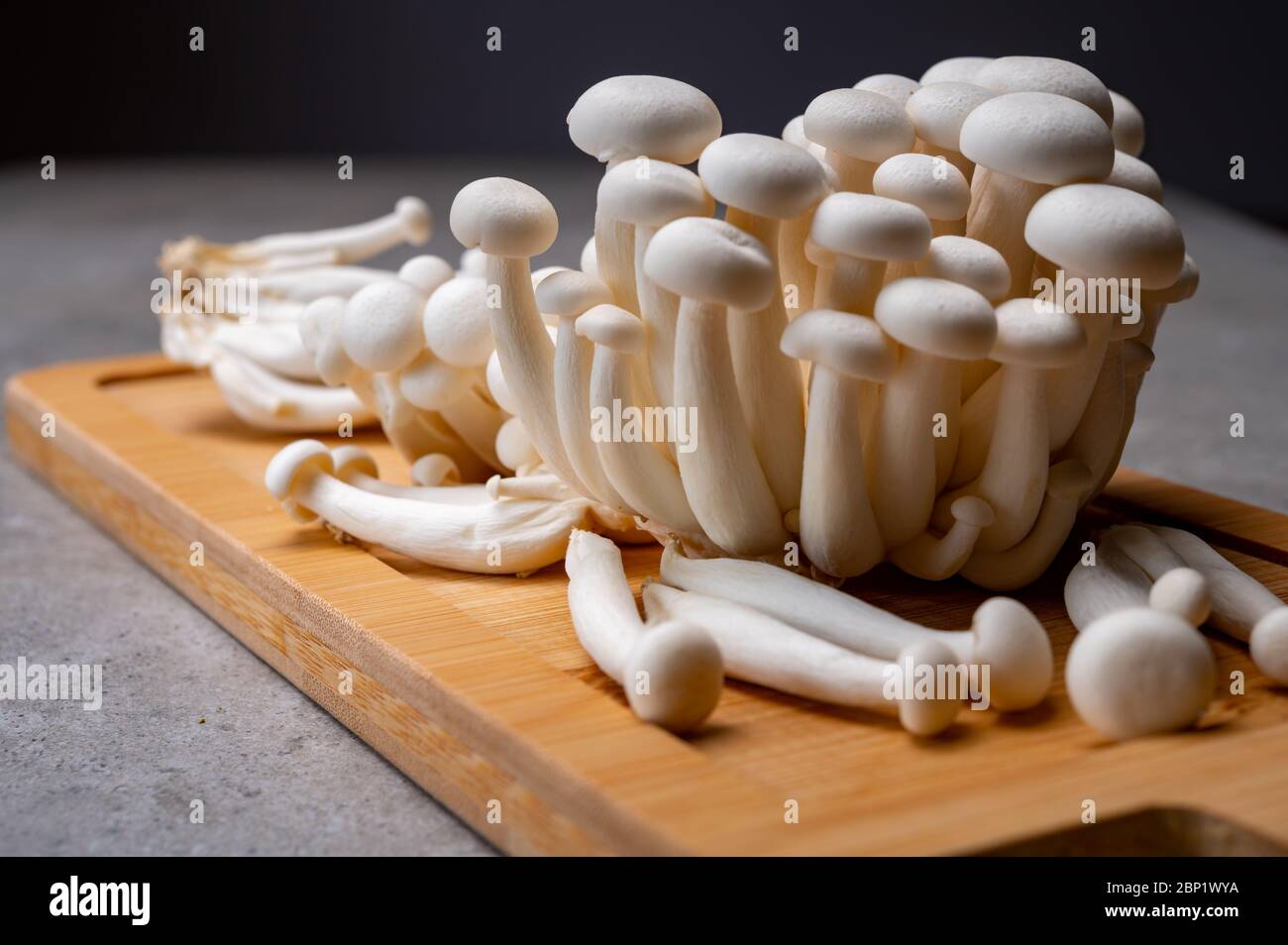 Fresh uncooked bunapi white shimeji edible mushrooms from Asia, rich in ...