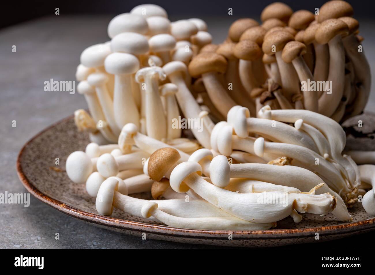 Fresh uncooked buna brown and bunapi white shimeji edible mushrooms ...