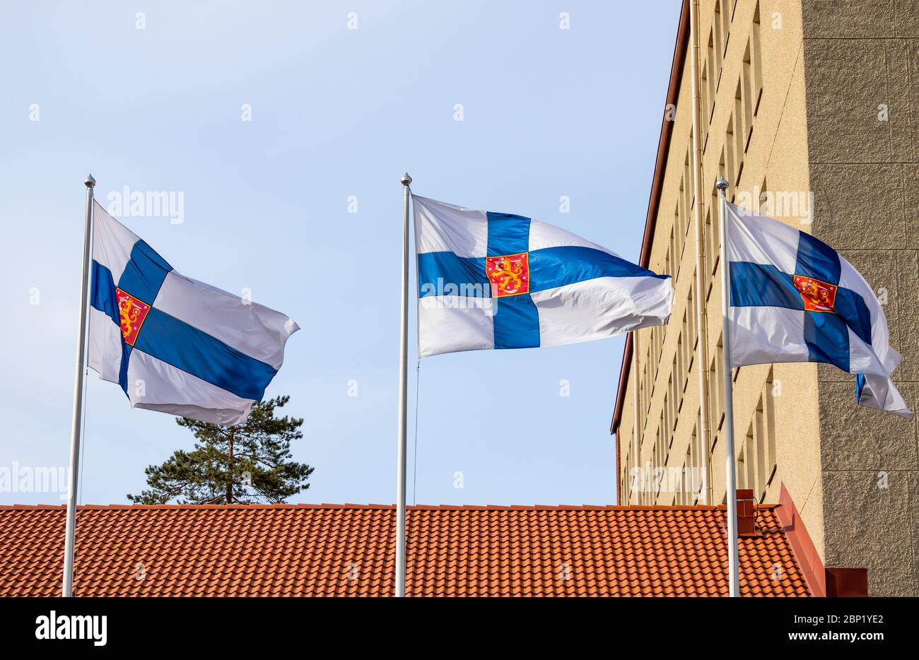 Three finnish national flags with coat of arms on the wind against the ...