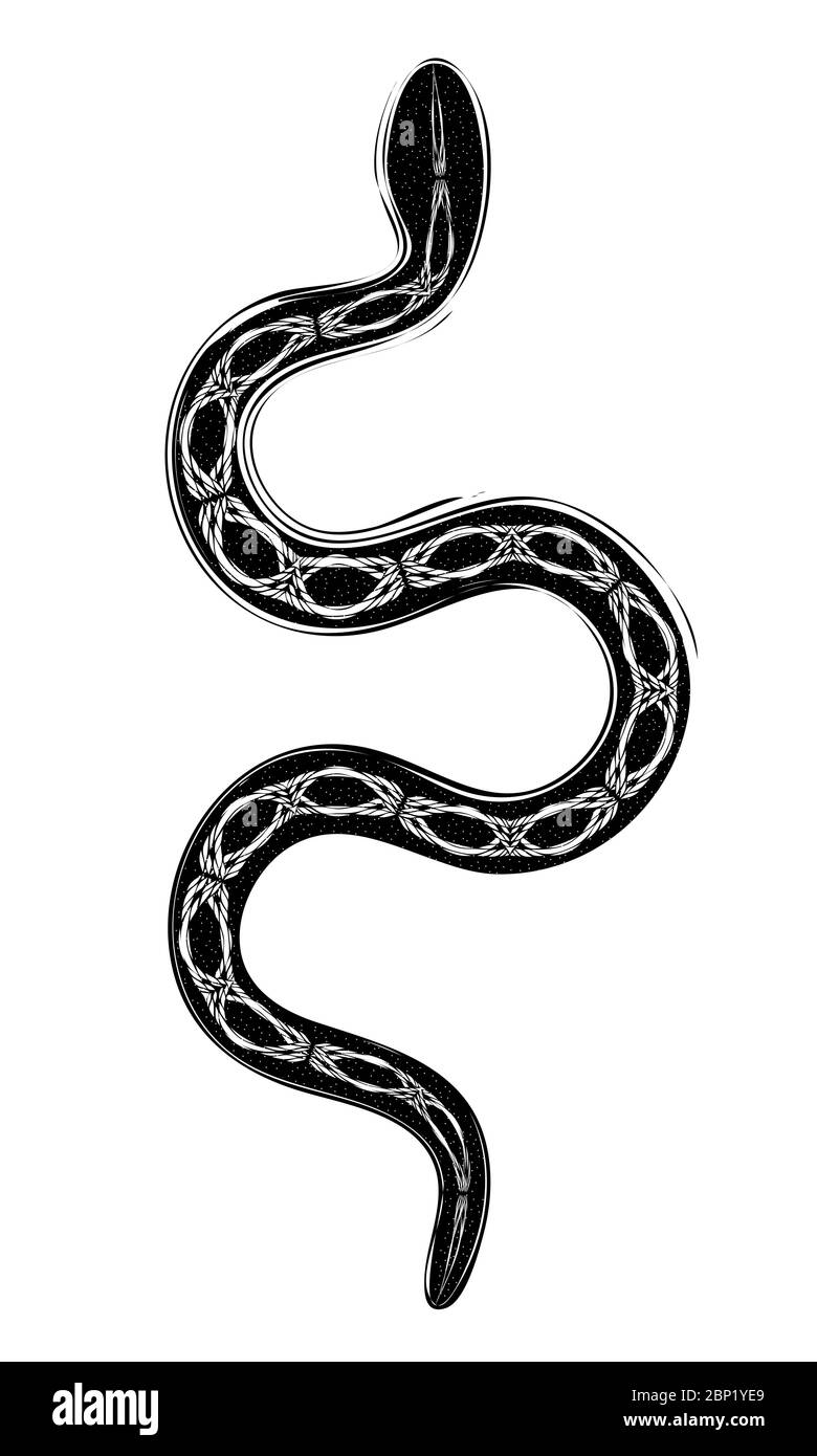 abstract gothic occult print or tattoo illustration of black snake ...