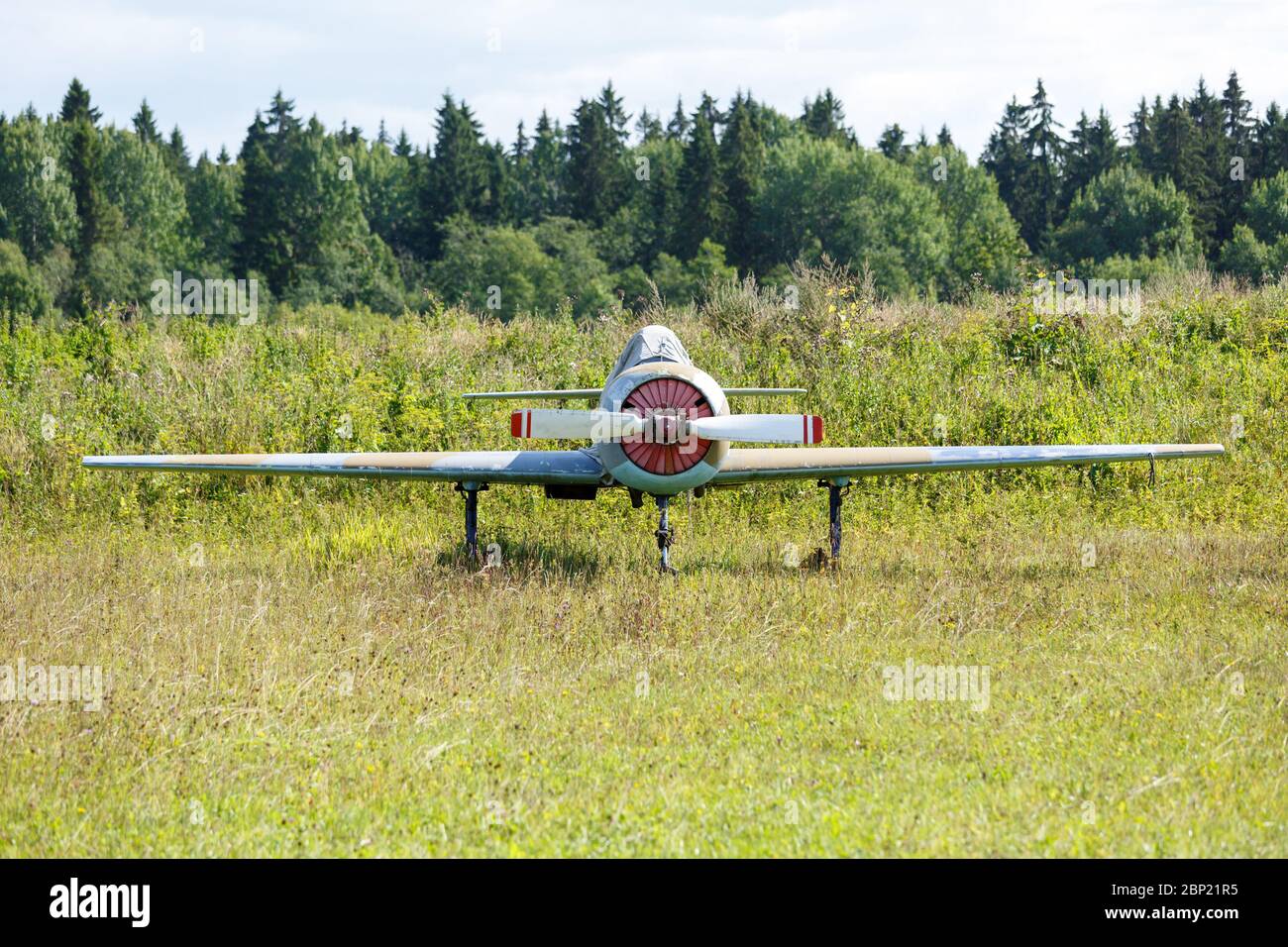The old plane stands on the green grass against the trees on a Sunny ...