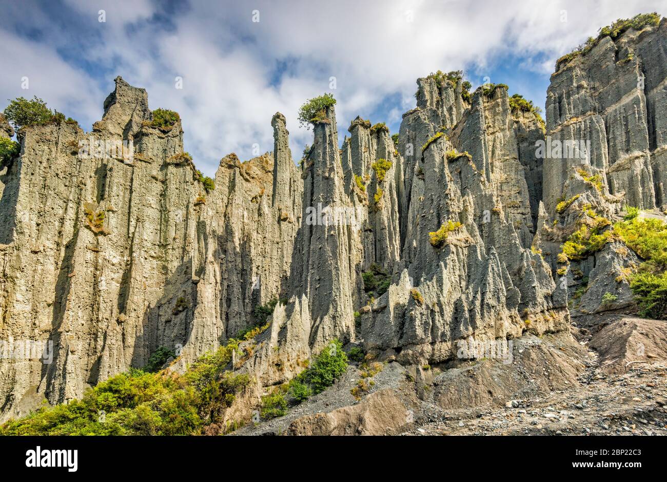 Aorangi forest park hi-res stock photography and images - Alamy